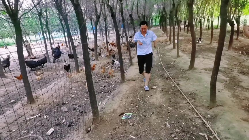 把你倒沙,咯卡咯卡ߘ