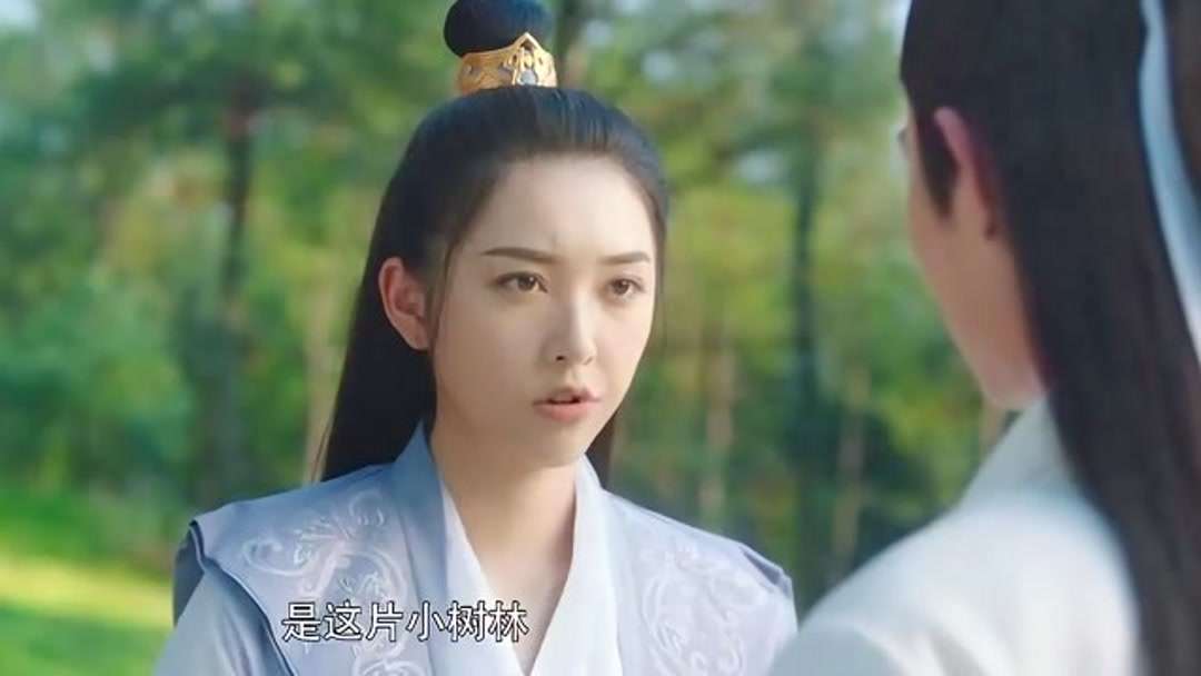 小白和公主两个憨憨吗