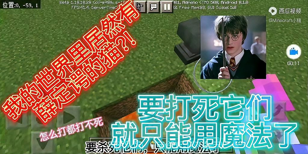 我的世界实验室#15:创造出薛定谔的狗,怎么打都打不死