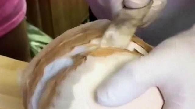 看似普通的水果刀,一刀切开椰子让我开眼了,这刀真牛逼!