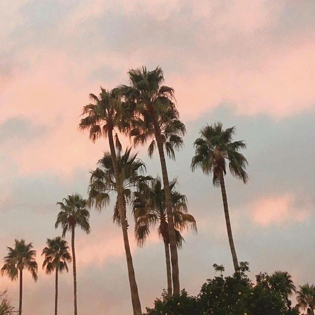 鹿晗62842 