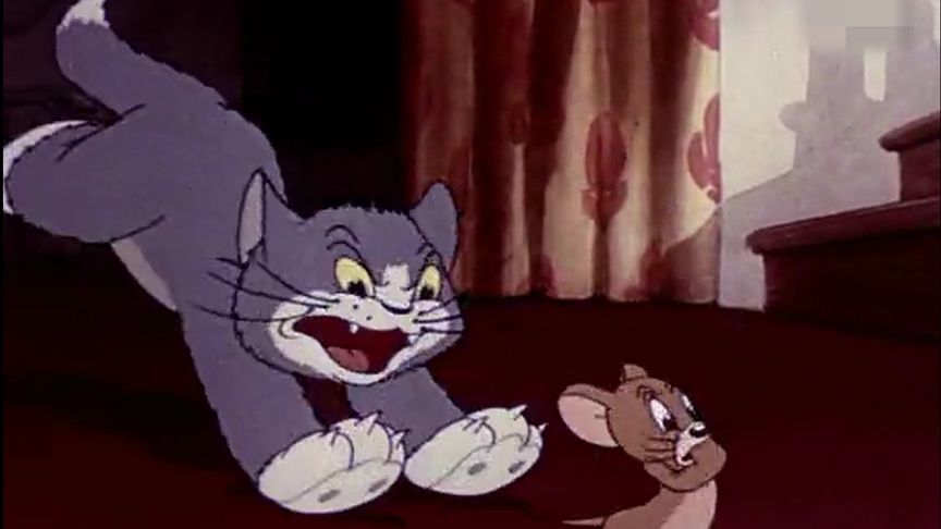 猫和老鼠:猫追着老鼠跑,结果老鼠的反应太快让猫尴尬了