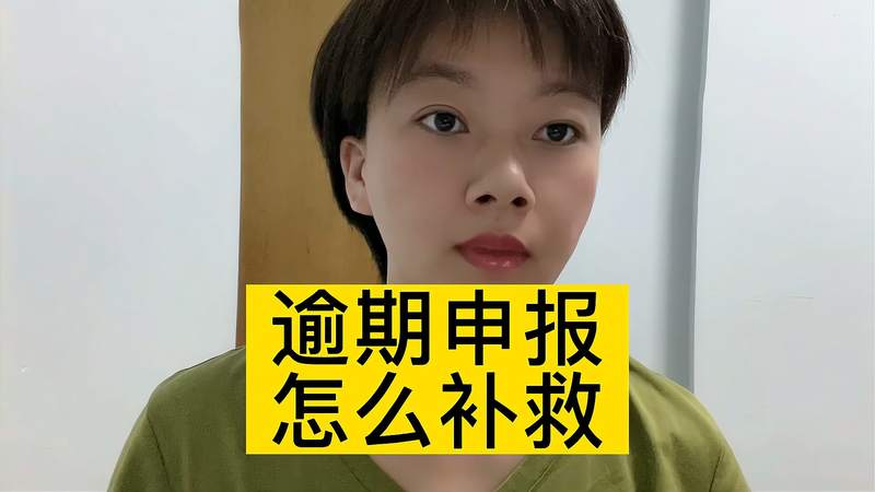 逾期申报,该如何补?