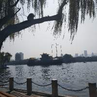 天涯说娱乐 