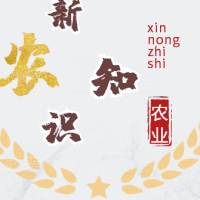 新农知识 