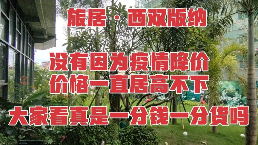 疫情还不见好,但是西双版纳这个楼盘价格一直居高不下,是何勇气