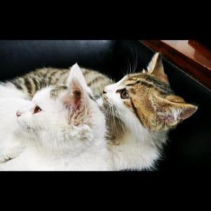 武汉市硚口区解放社区汉兴阳光养老院 