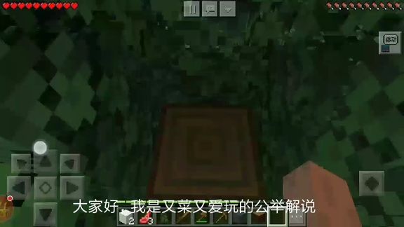 我的世界 生存篇03期