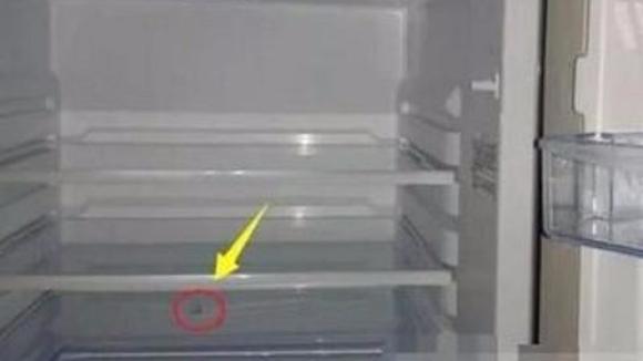 冰箱老是结冰结霜?用吸管戳一下这个机关,一年能省下不少电费!