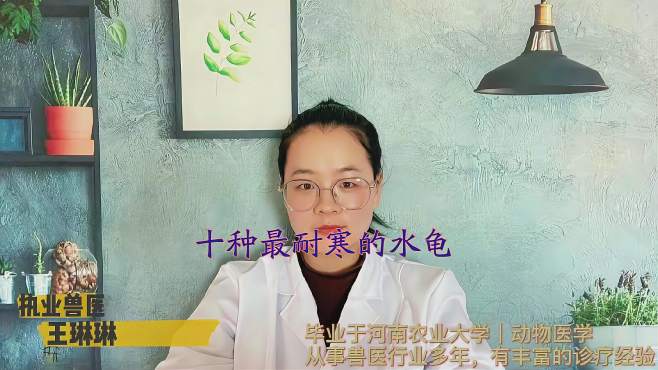 十种最耐寒的水龟和其生活习性