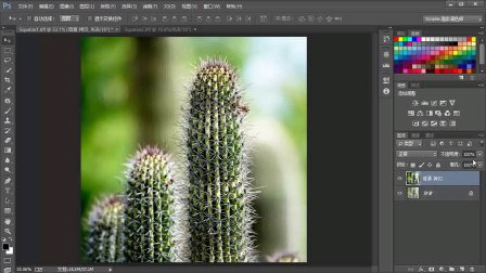 ps怎么抠图 ps cs3视频教程 photoshop技术