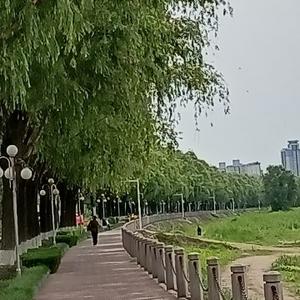 木兰围场人在宝鸡 