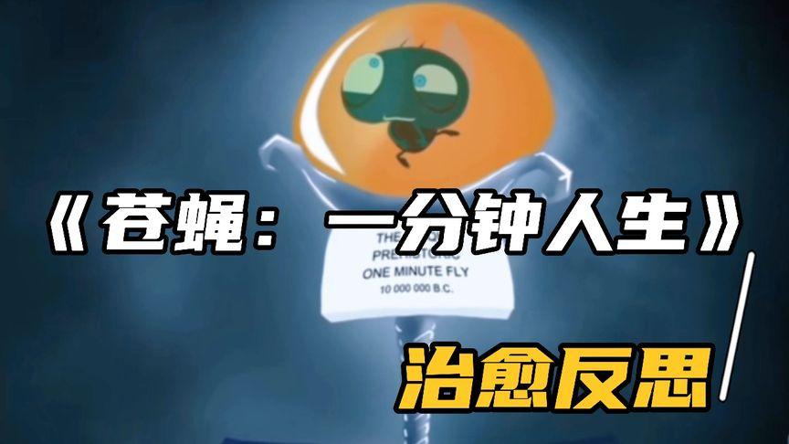 短片《苍蝇:一分钟人生》,一只苍蝇用一分钟的时间,创造出价值