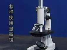 显微镜的构造和使用