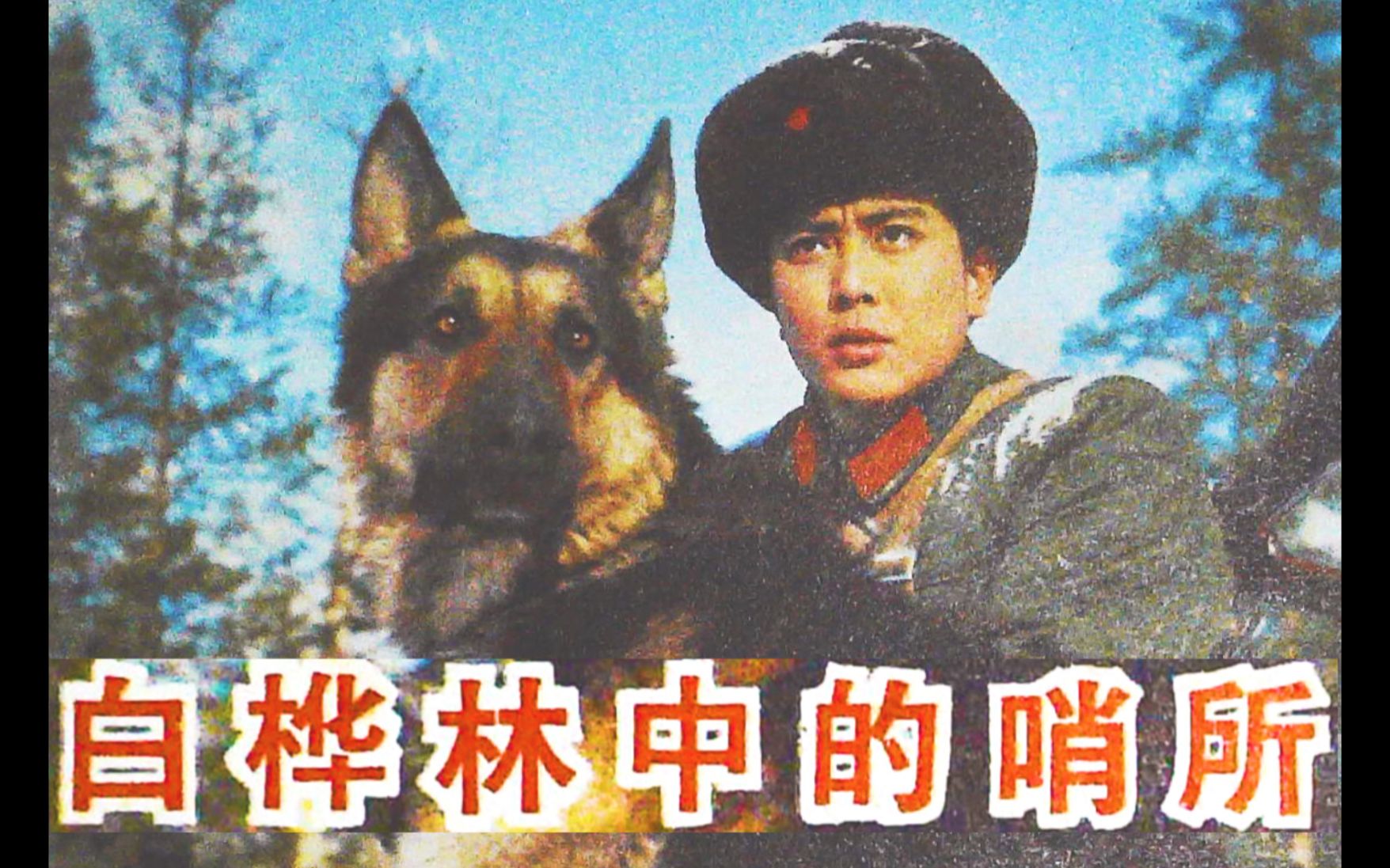 ...着酸楚的爱情 老电影连环画 《白桦林中的哨所》(上) (卢军 韩月乔主演)