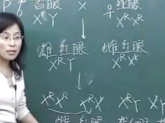 第4讲 伴性遗传与人类遗传病1