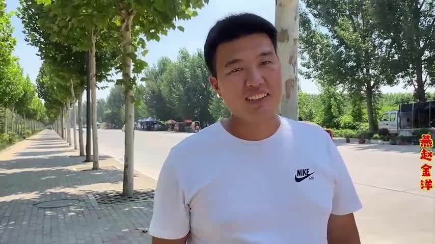 实拍农村狗市,藏獒罗威纳卡斯罗高加索全是精品,小罗是乌兹后代