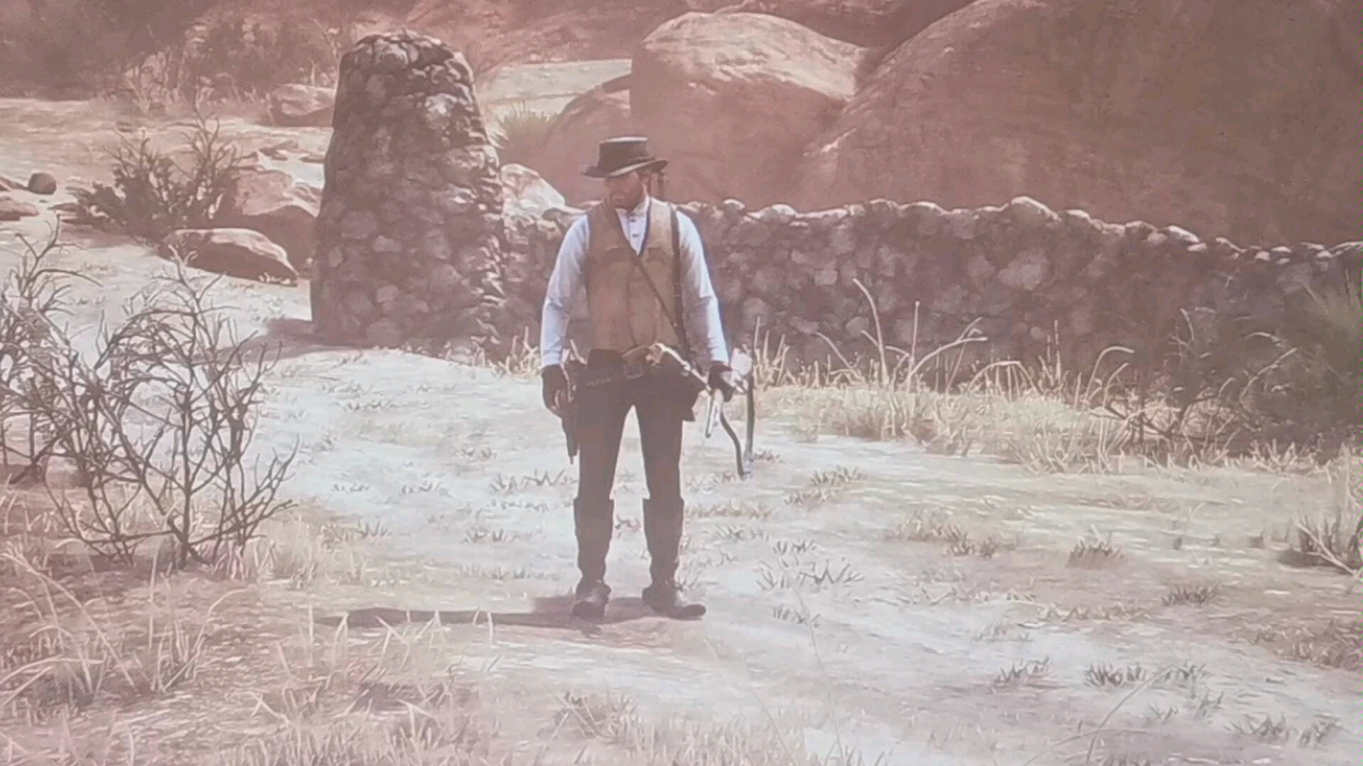 荒野大镖客自创电影片段,有内味了