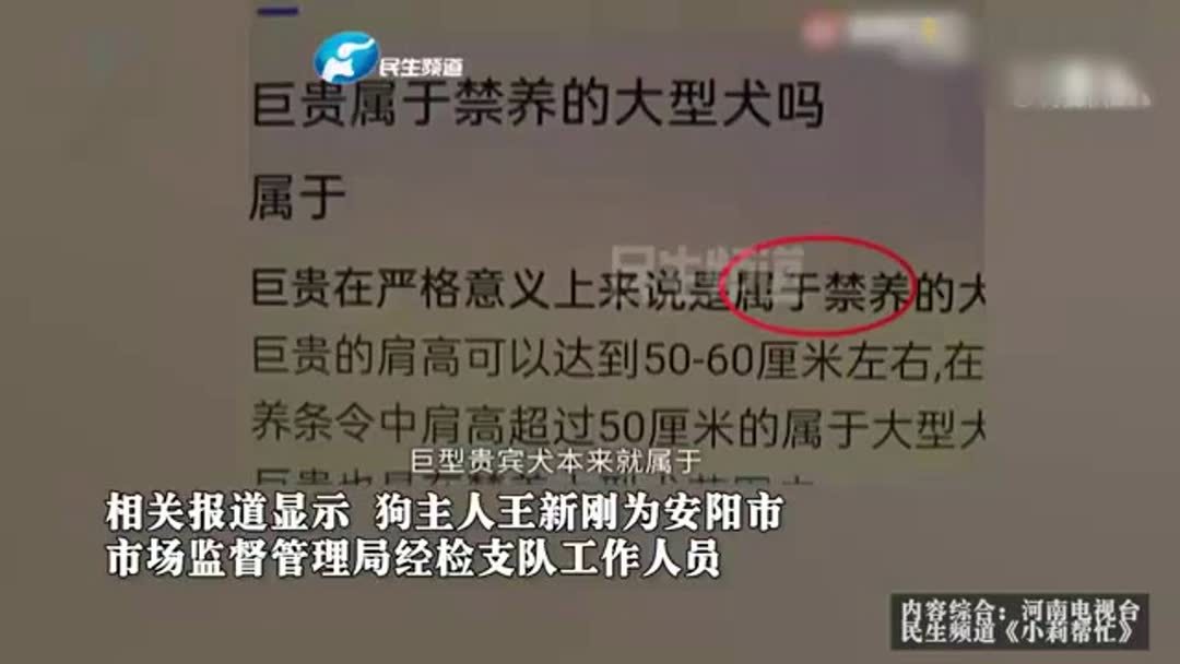安阳纪委监委回应"狗咬老人事件":事件已上报,由专门科室跟进