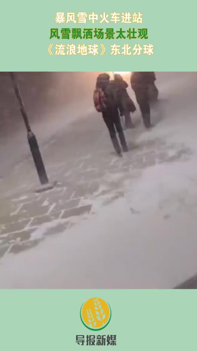 暴风雪中火车进站,风雪飘洒场景太壮观,《流浪地球》东北分球#硬核 #...