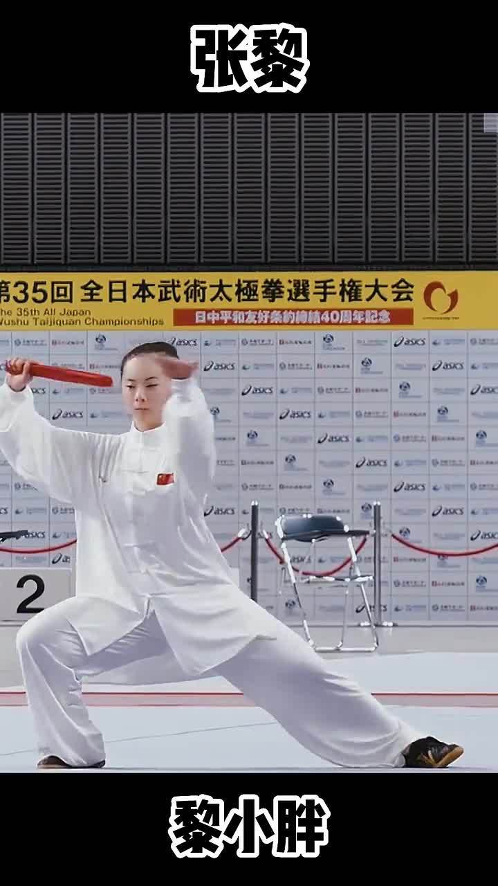 优雅实在是太优雅了#武术 #功夫 #太极 #传统文化 #弘扬中华武术