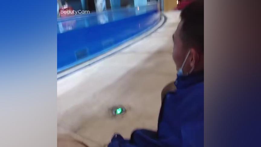 奶昔只有和奶爸在一起安全感爆满呀,#人与动物的和谐相处