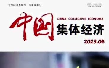 经济类期刊--《中国集体经济》