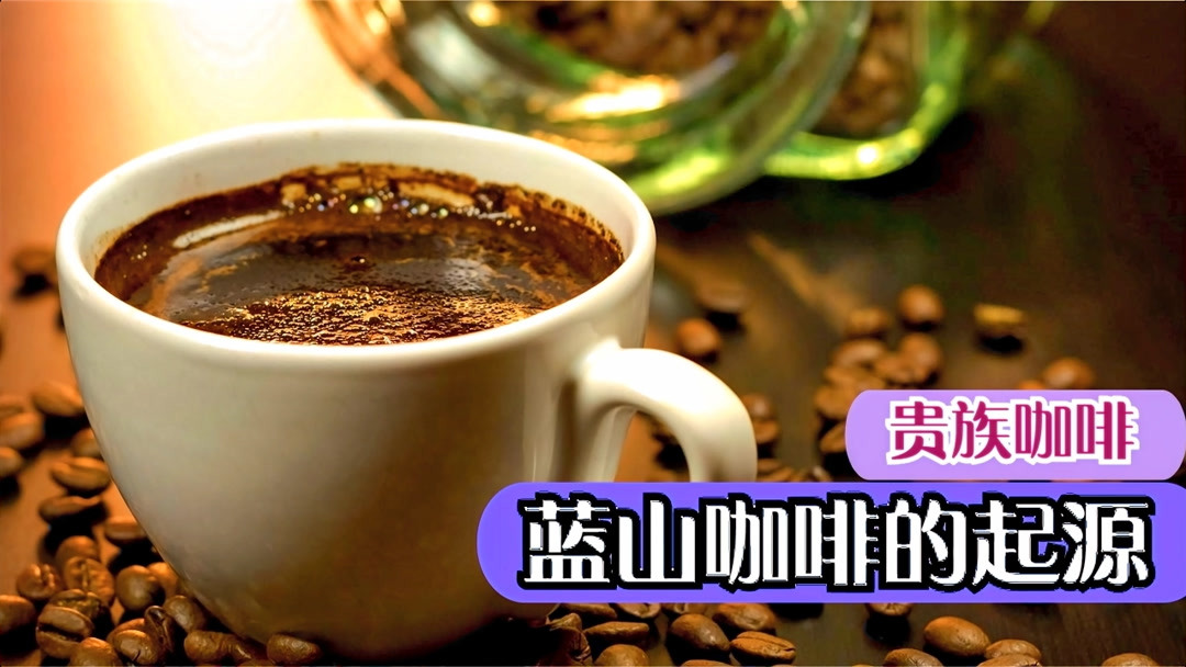 世界上最贵的咖啡【蓝山咖啡】,你需要了解的它的历史起源