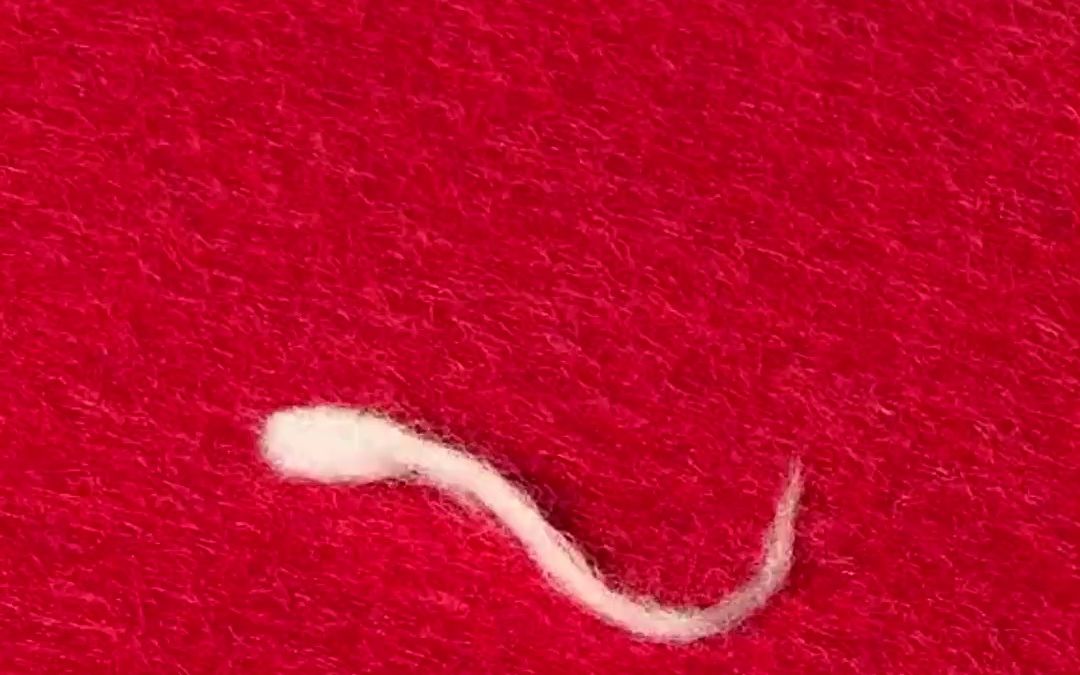 定格动画科普,生命的诞生