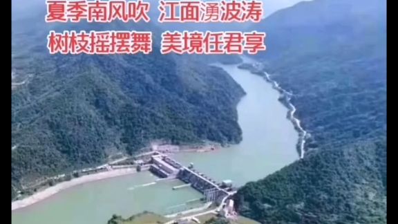 夏季南风吹,江面波涛湧。树枝摇摆舞,美景任君享。