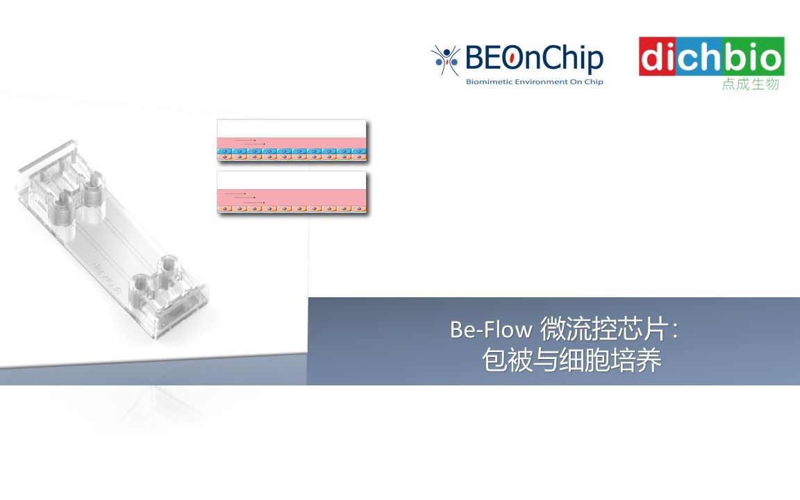 产品操作| Be-Flow:包被与细胞培养