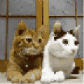找茬猫 