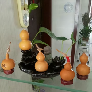 倚荷听雨笑红尘 