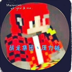 战龙集团丶压力板 