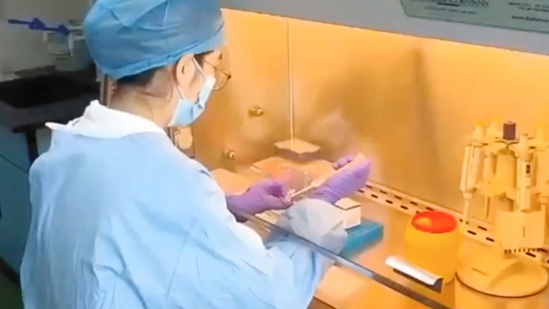 全球首个新冠病毒性传播途径研究:未发现证据 但性行为仍需谨慎