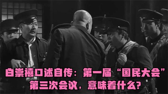 白崇禧口述自传:第一届“国民大会”第三次会议,意味着什么?