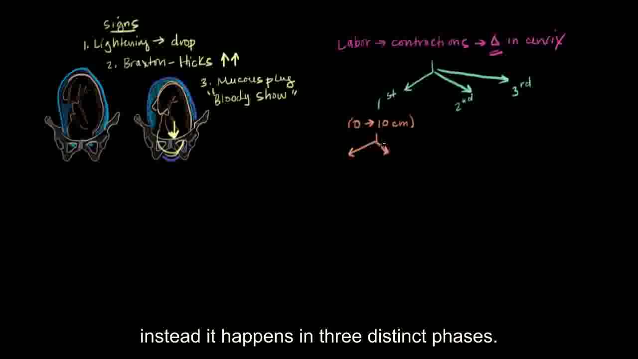 【搬运KhanAcademy】妊娠——Labor