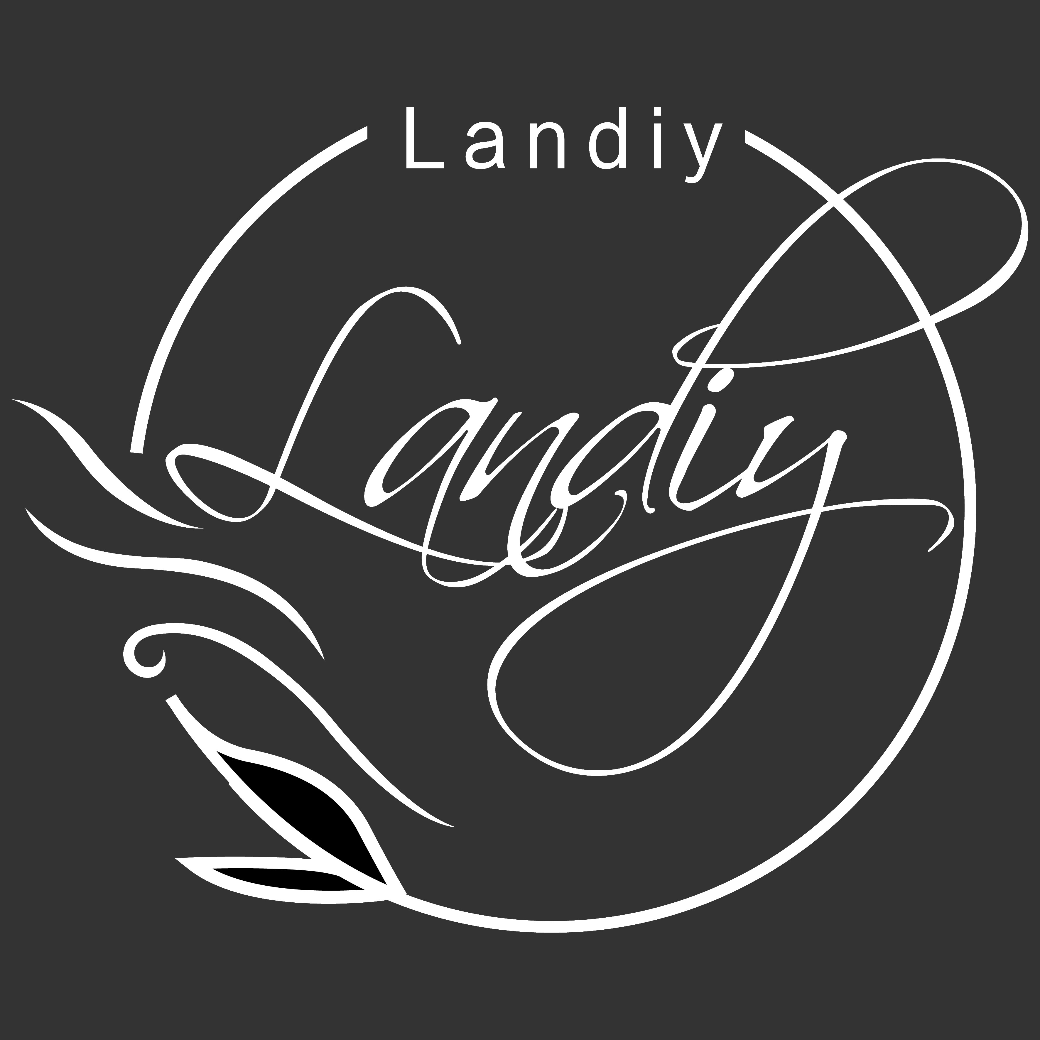 Landiy_ 