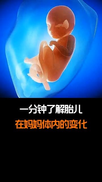你知道胎儿在母体10个月的变化吗