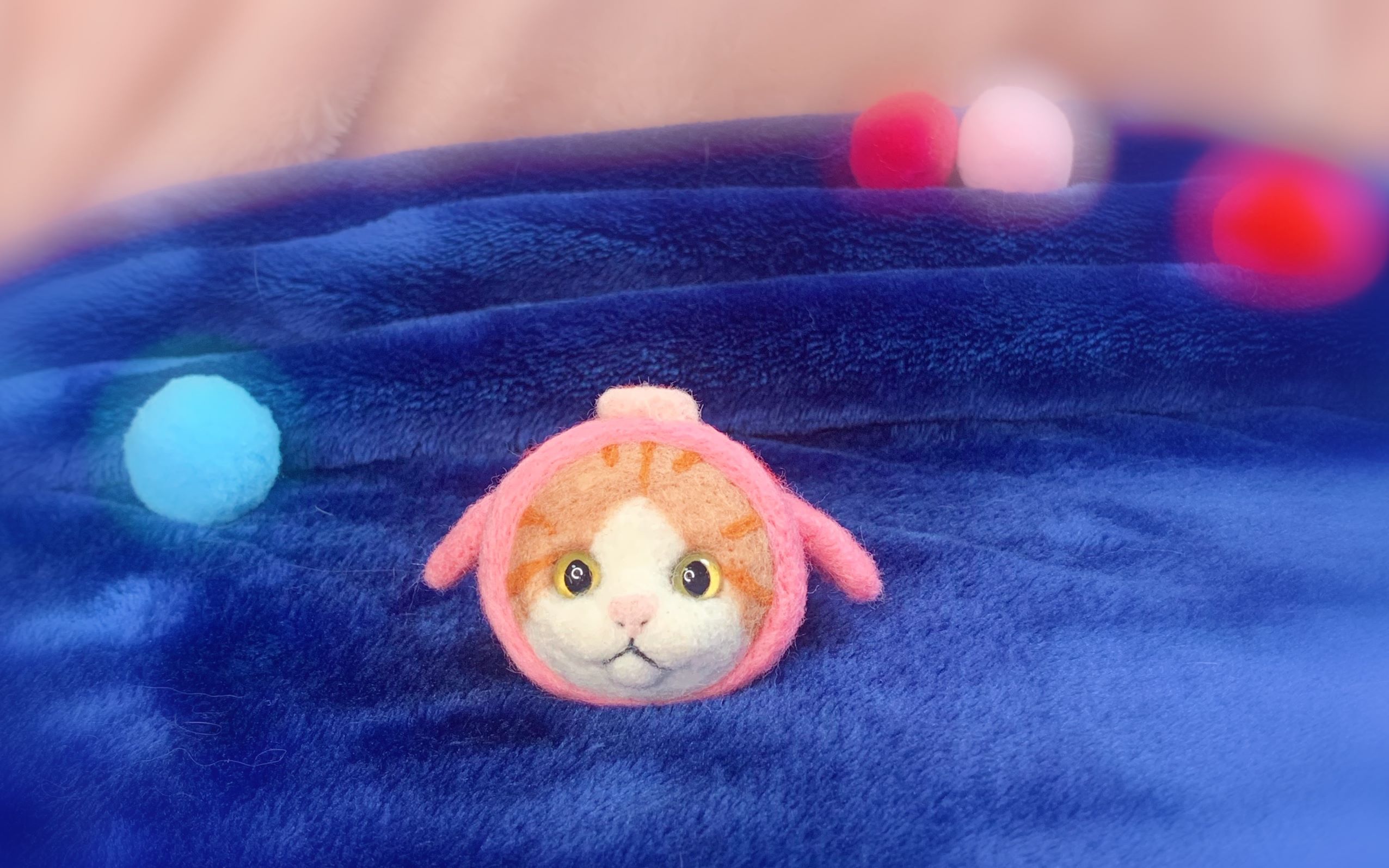 橘猫小肥猪 羊毛毡教程