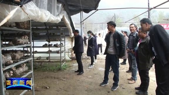 两当县对新任村党支部书记、主任开展培训