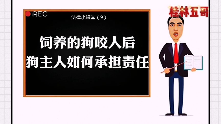 法律小课堂(9):饲养的狗咬人后,狗主人要承担哪些民事责任?