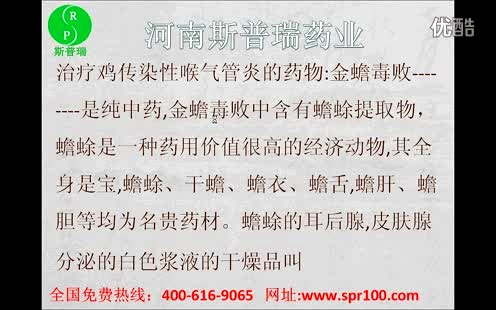鸡传染性喉气管炎的中药预防,鸡传染性喉气管炎