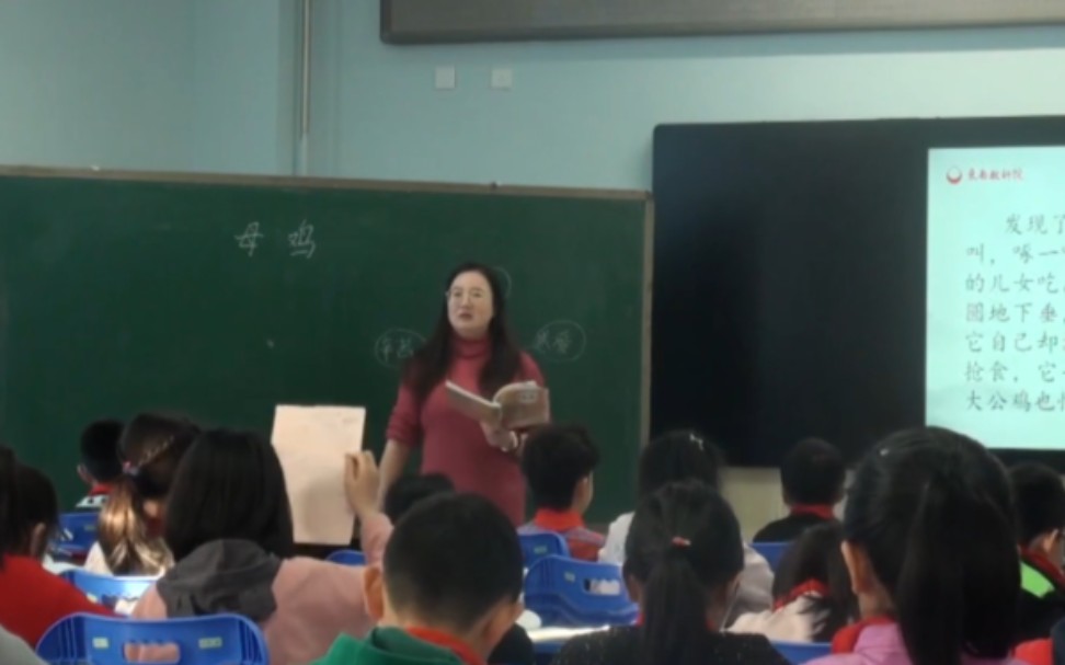 《母鸡》公开课【课件+教案】