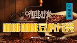 咖啡时光第4集咖啡的组成和分类