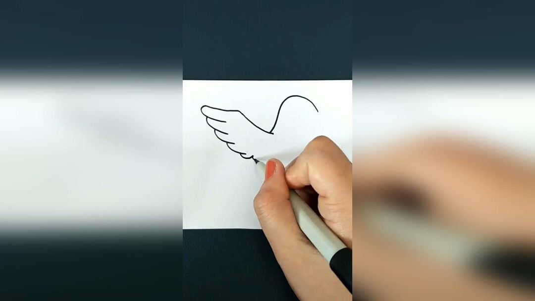 简笔画:一只会飞的小鸟