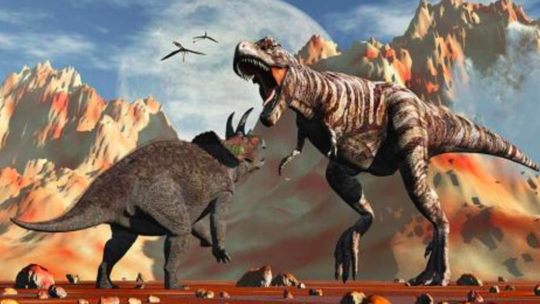 动物战争模拟器 混乱中得分,大猩猩真像某主播霸王龙生存