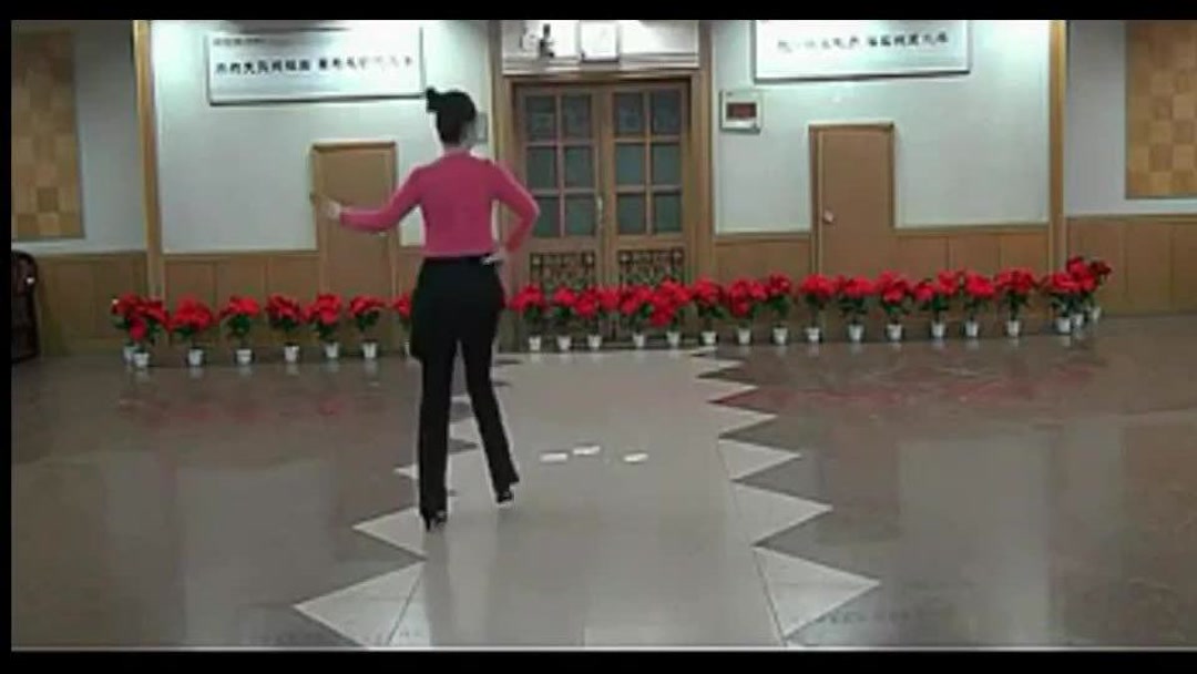 广场舞凤凰传奇最炫民族风分解动作教学【全部