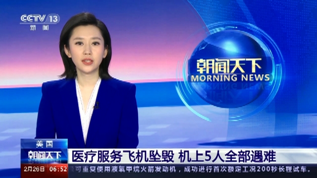 美国 医疗服务飞机坠毁 机上5人全部遇难