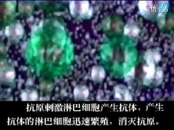 生物教学片抗原抗体